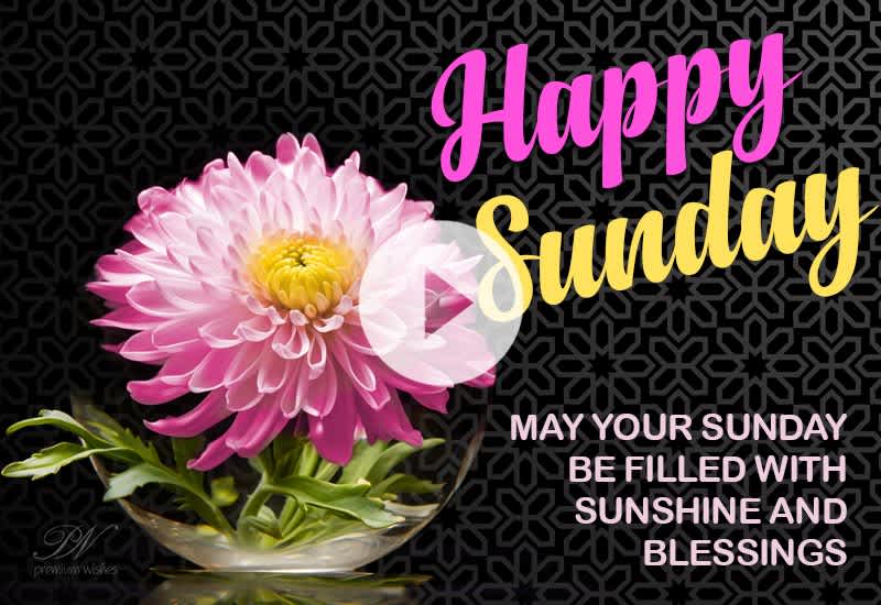 Sunday Blessings Video: Share These Beautiful Happy Sunday Wishes ...